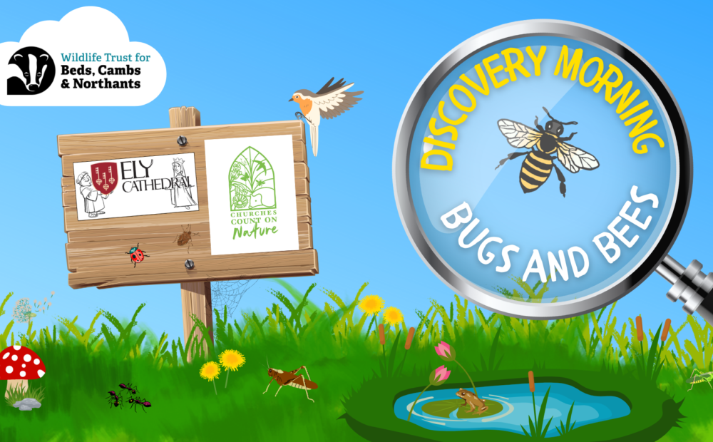 Environment Action - Ely Cathedral